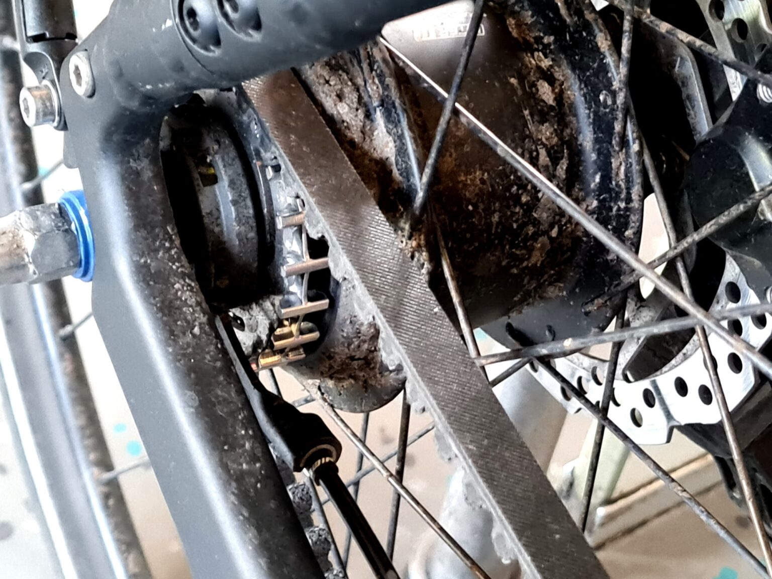 Warum ich ein Fahrrad mit Riemenantrieb verwende - gipfelwelt.net Warum ich ein Fahrrad mit Riemenantrieb verwende - gipfelwelt.net